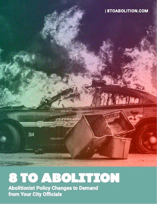 8 Steps to Police Abolition