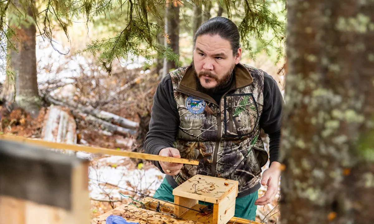 Indigenous Restoration of Wildlife Habitats