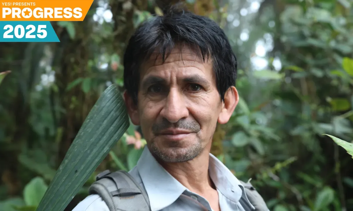 Ecuador Forest Saved by Constitutional Protections